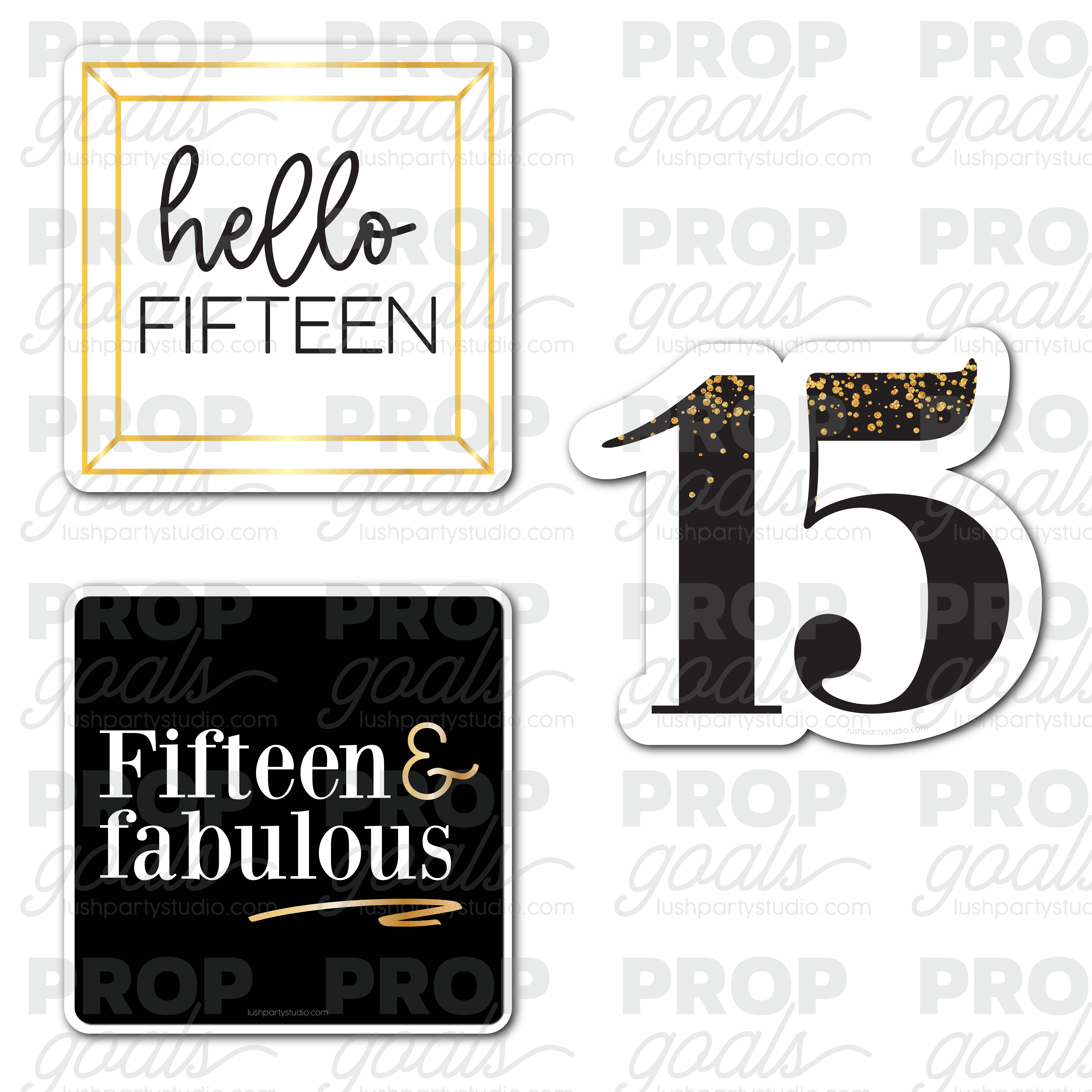 Milestone Birthday photo booth prop signs