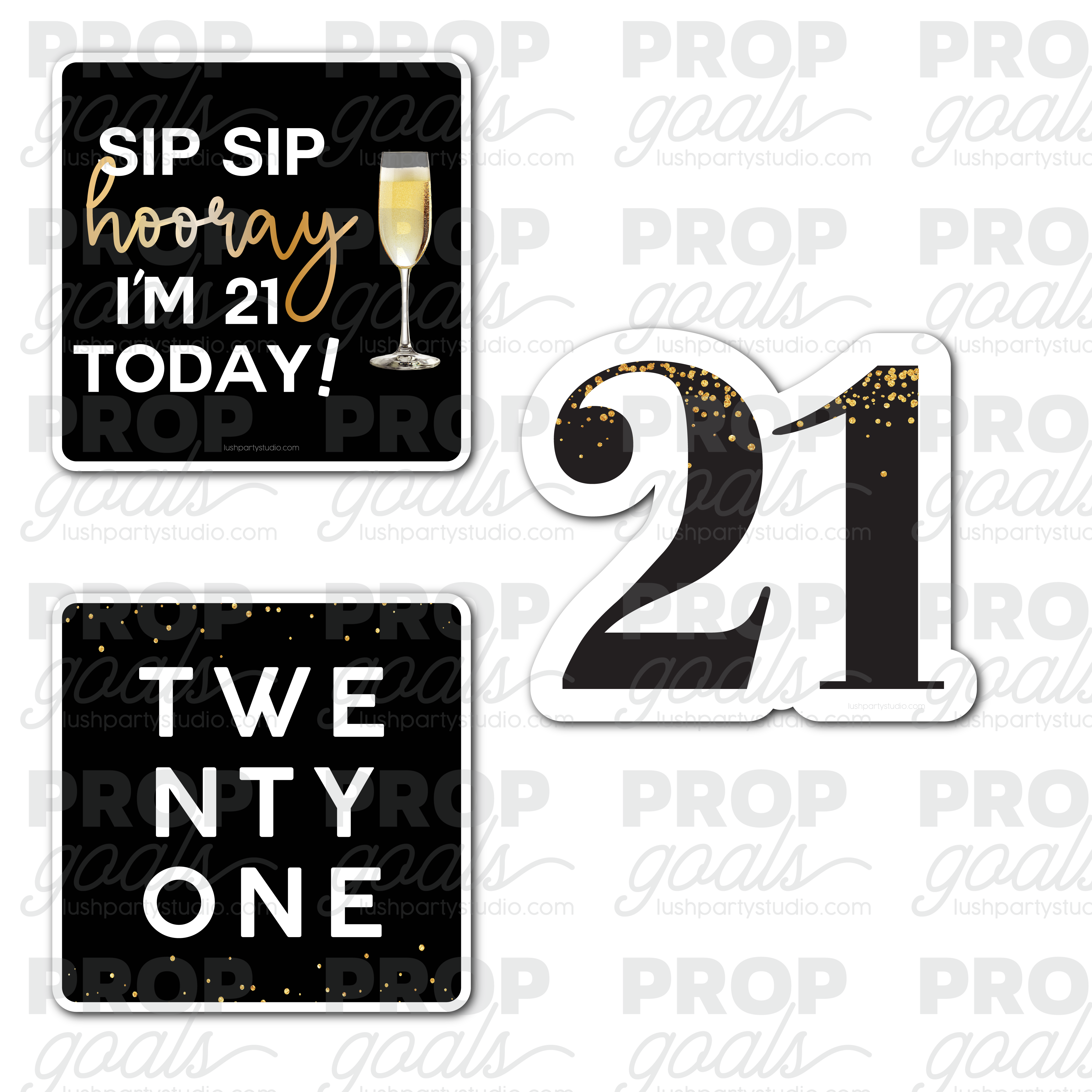 Milestone Birthday photo booth prop signs