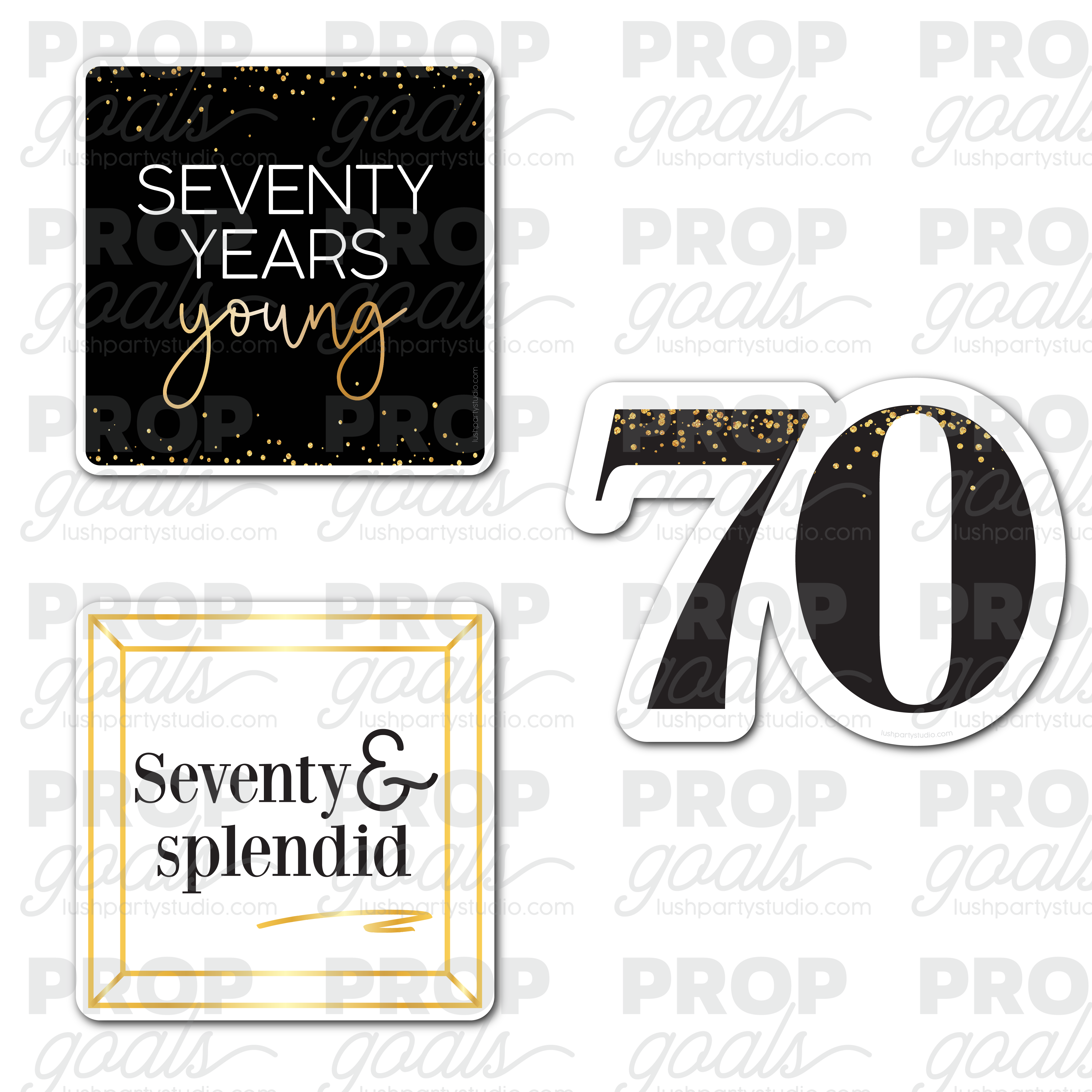 Milestone Birthday photo booth prop signs